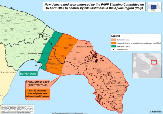 mappa Xylella - Eunews