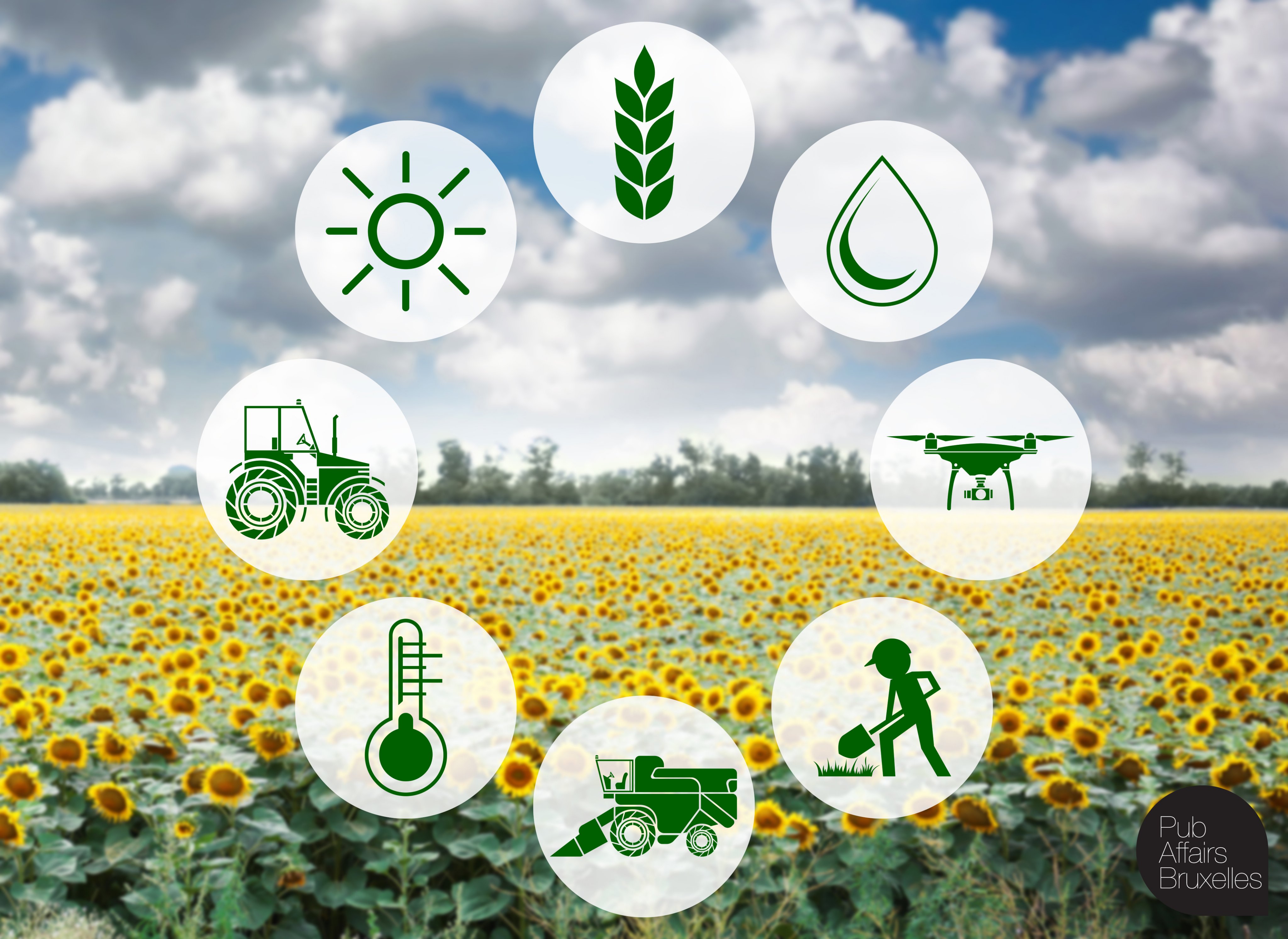 Agricoltura Sostenibile Agricoltura Sostenibile