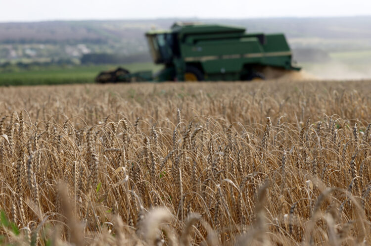 UKRAINE-RUSSIA-CONFLICT-WAR-GRAIN - Eunews
