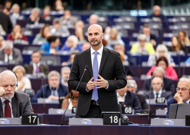 Renew Europe stabilizes as the 5th group in the EU Parliament