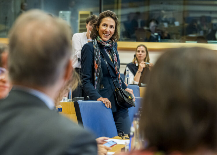 Renew Europe stabilizes as the 5th group in the EU Parliament