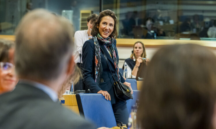 Renew Europe stabilizes as the 5th group in the EU Parliament