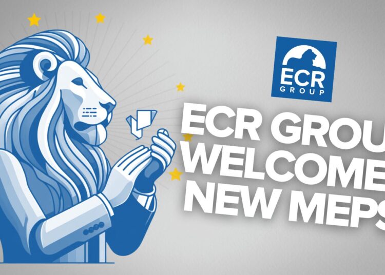 Renew Europe stabilizes as the 5th group in the EU Parliament