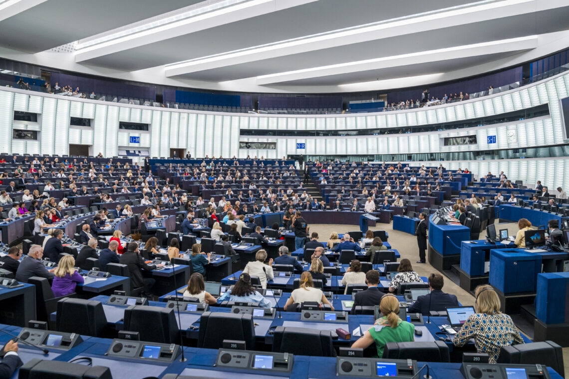 What committees Italian MEPs will end up in.