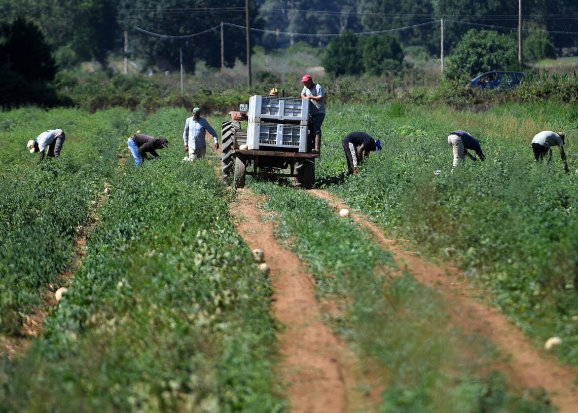 Demographic crisis: Aging EU population relies on immigration, with ...
